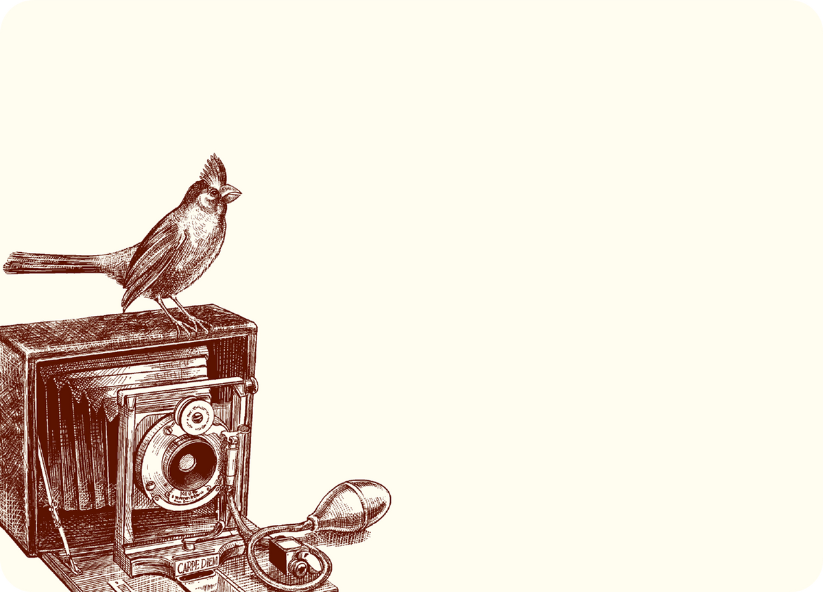 Cardinal Rule Notes – Alexa Pulitzer