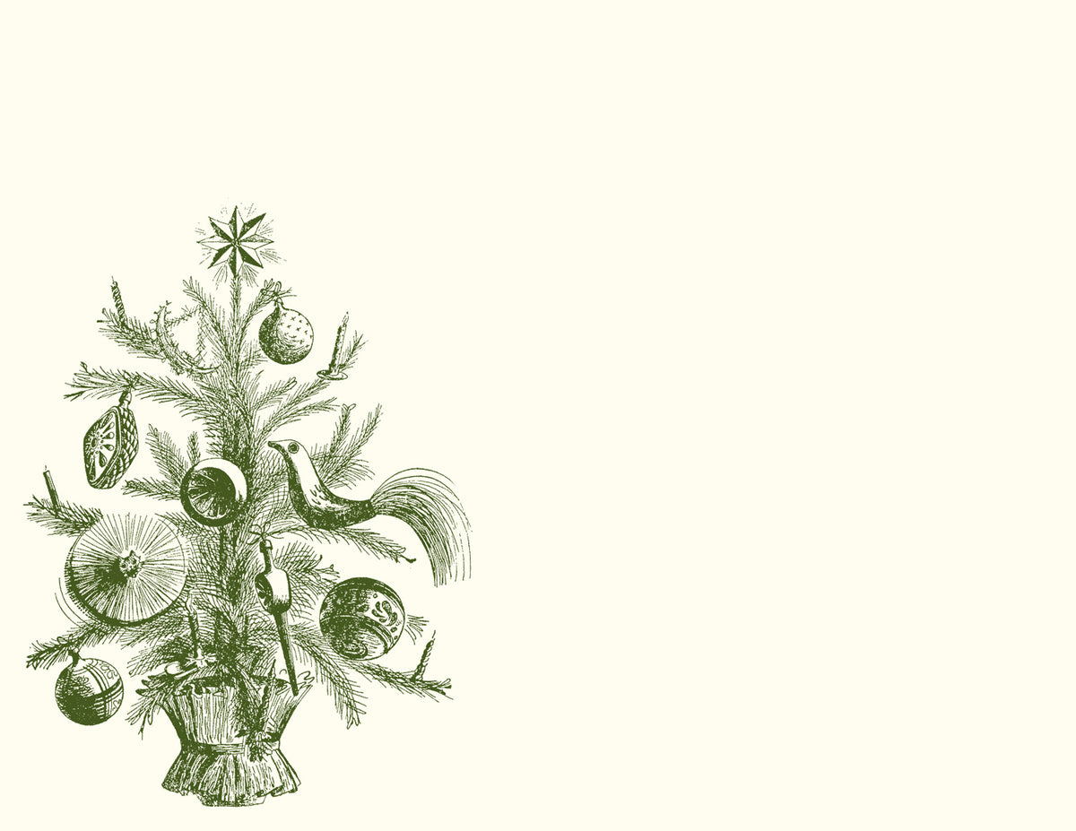 Christmas Bush A2 Notes – Alexa Pulitzer