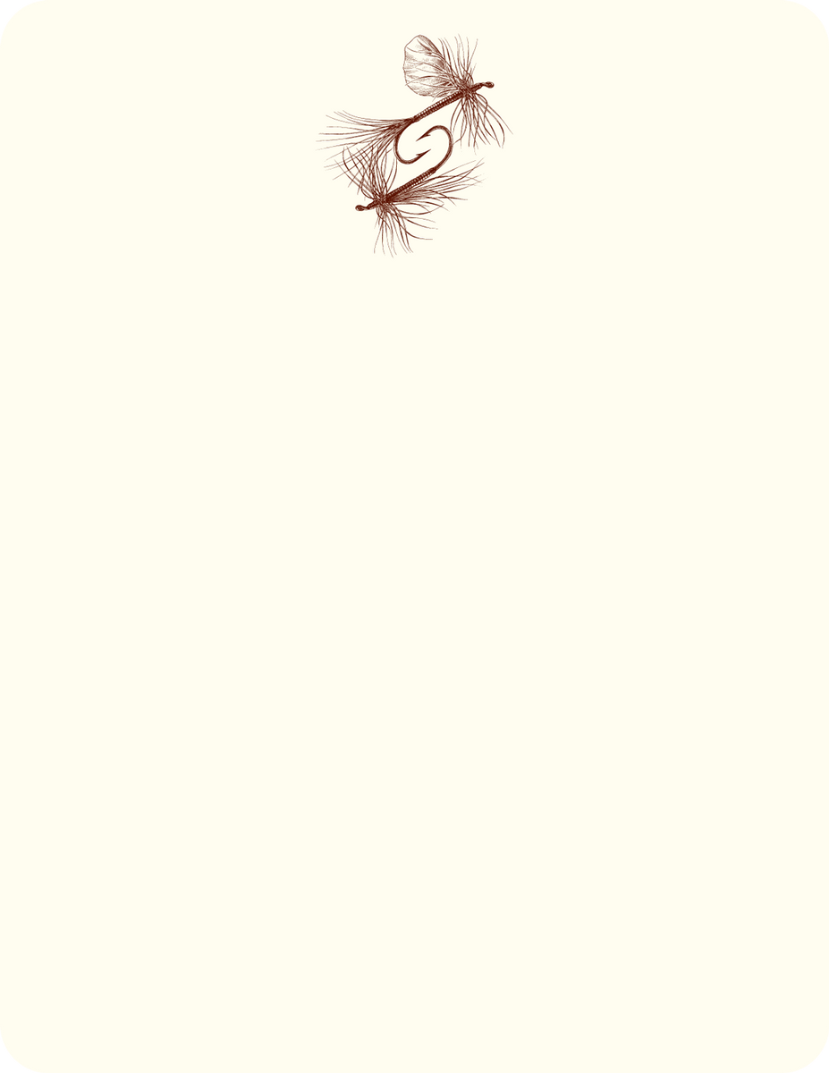 Fly Fishing Lures A2 Notes – Alexa Pulitzer