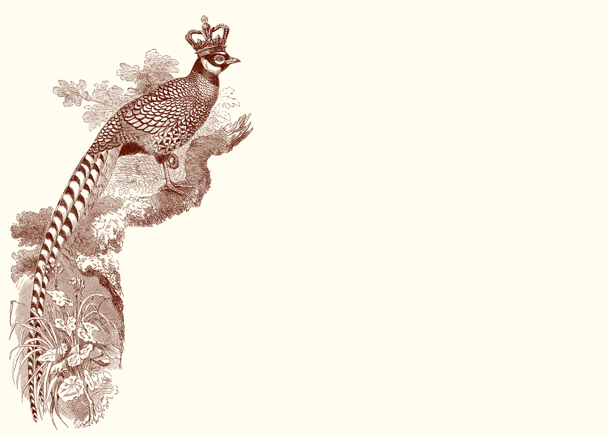 Royal Pheasant A6 Notes – Alexa Pulitzer