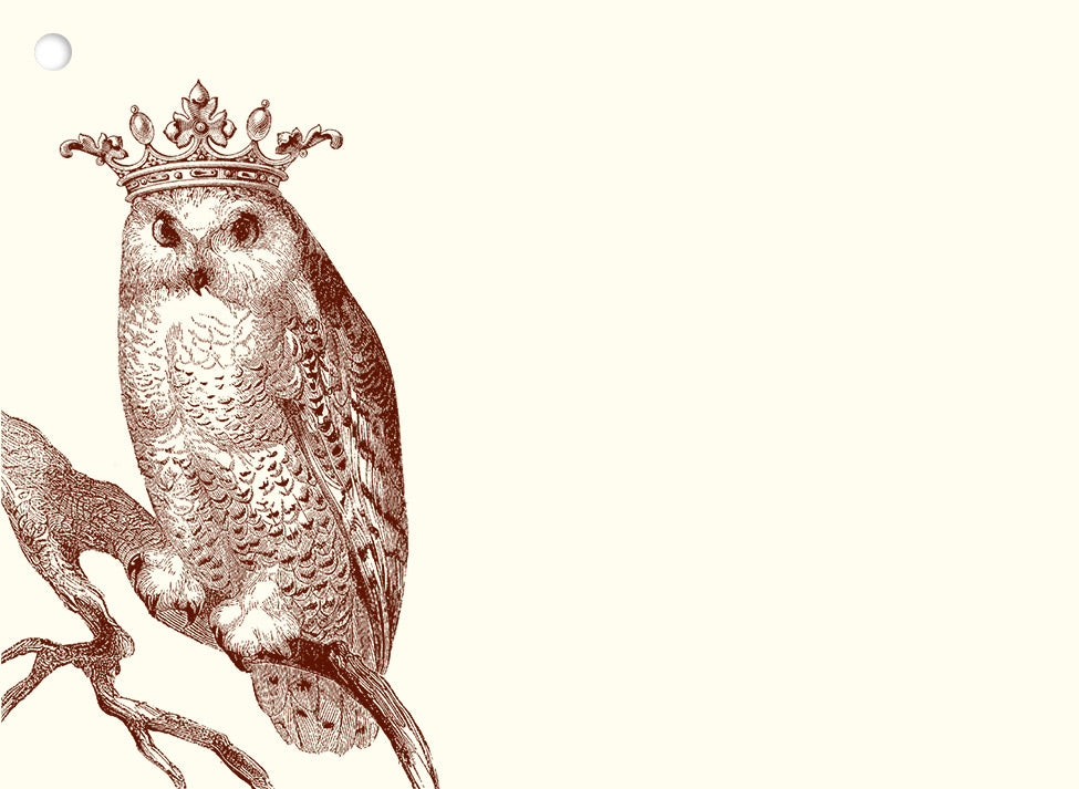 Royal Snowy Owl Gift Tags – Alexa Pulitzer