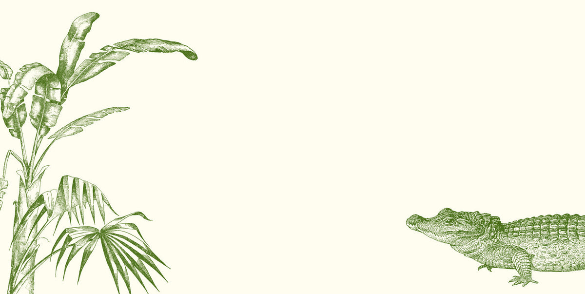 Swampy Gator Monarch Notes – Alexa Pulitzer